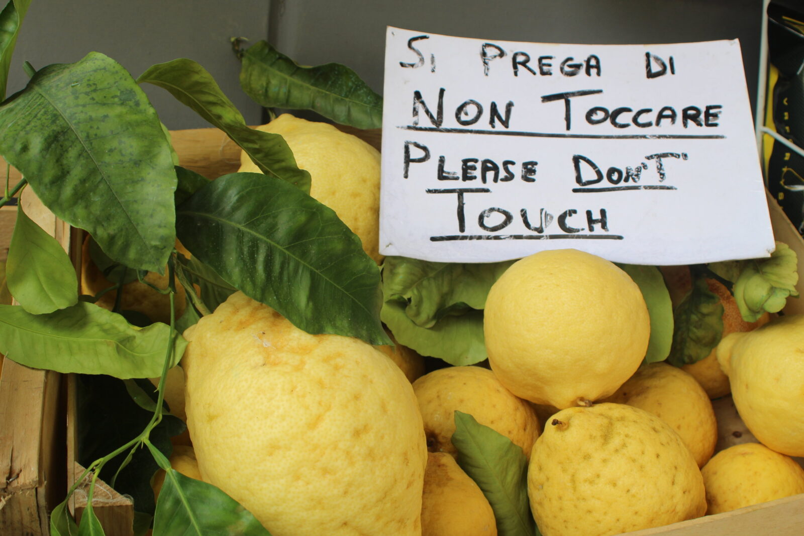 How to make Limoncello at home - Destination Eat Drink - The Travel ...