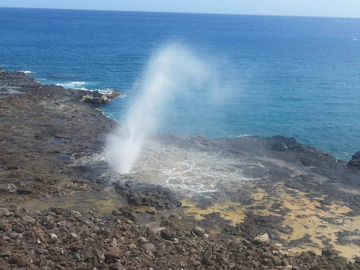 Spouting Horn of the Ancient Lizard - Destination Eat Drink - The ...