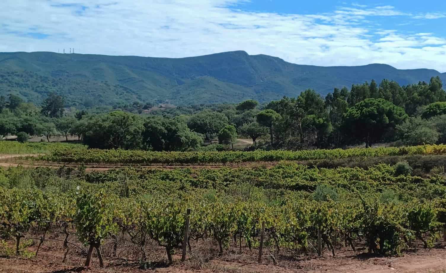 Quinta de Alcube - Destination Eat Drink - The Travel Site for Foodies