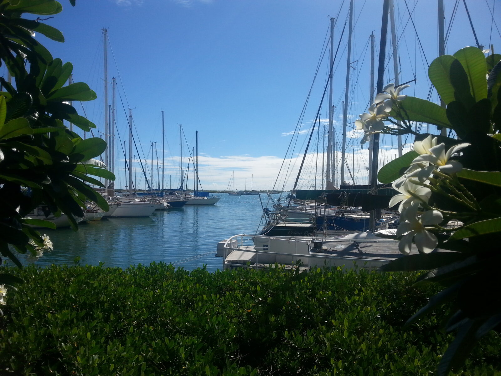 La Mariana Tiki Bar, Honolulu, Hawaii - Destination Eat Drink - The ...